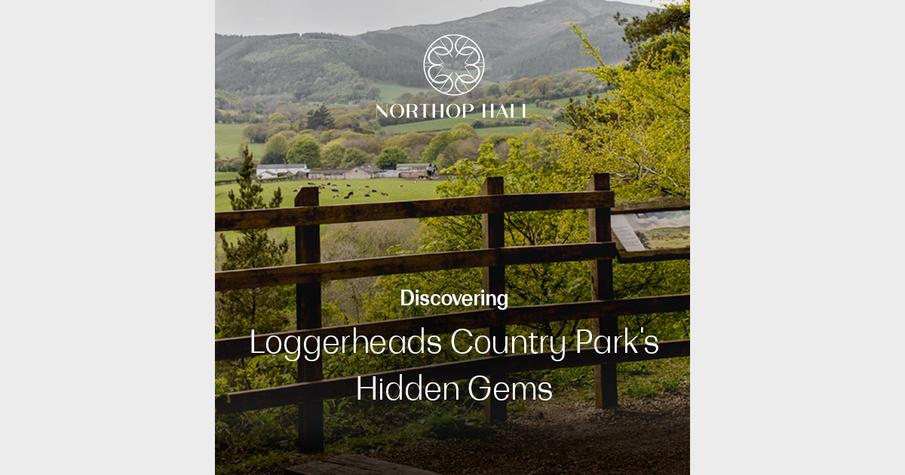 Discovering Loggerheads Country Park's Hidden Gems